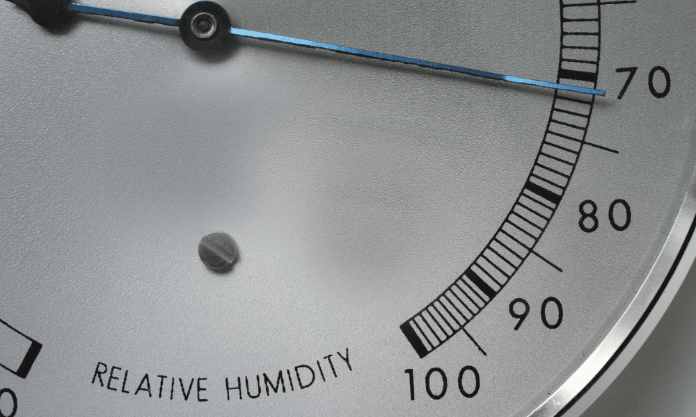 Manage Humidity and Mold with These Florida Solutions